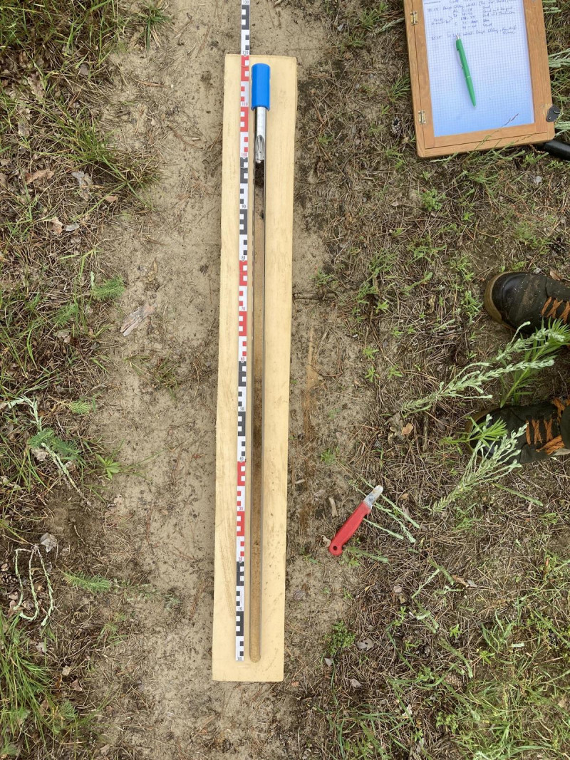 Signs of wind erosion in the landscape – Zwillenberg-Tietz-Stiftung